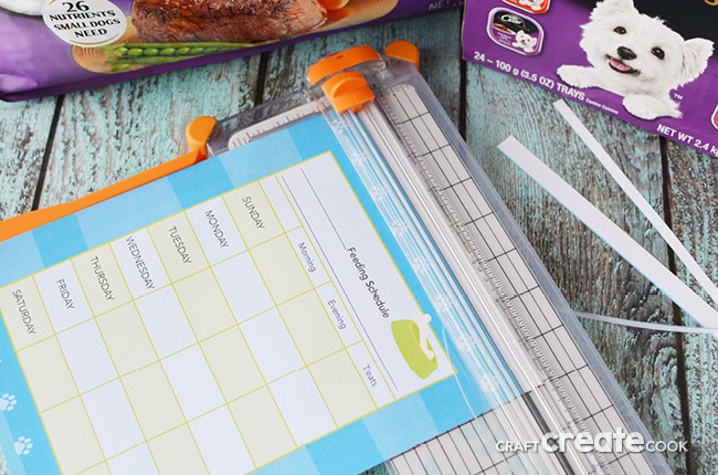 DIY Pet Feeding Schedule Printable Craft Create Cook