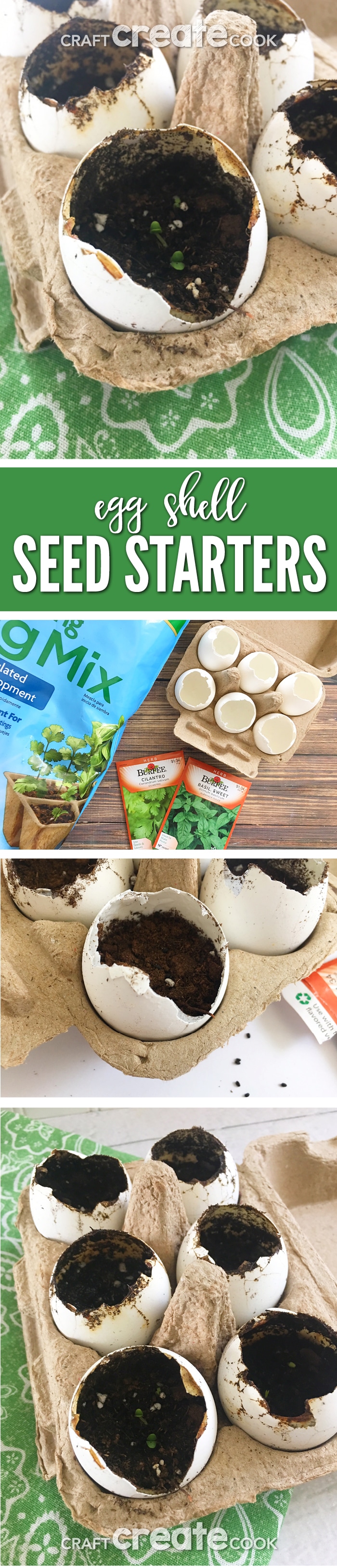 Grow Your Own Herbs - Egg Shell Seed Starters - Craft Create Cook