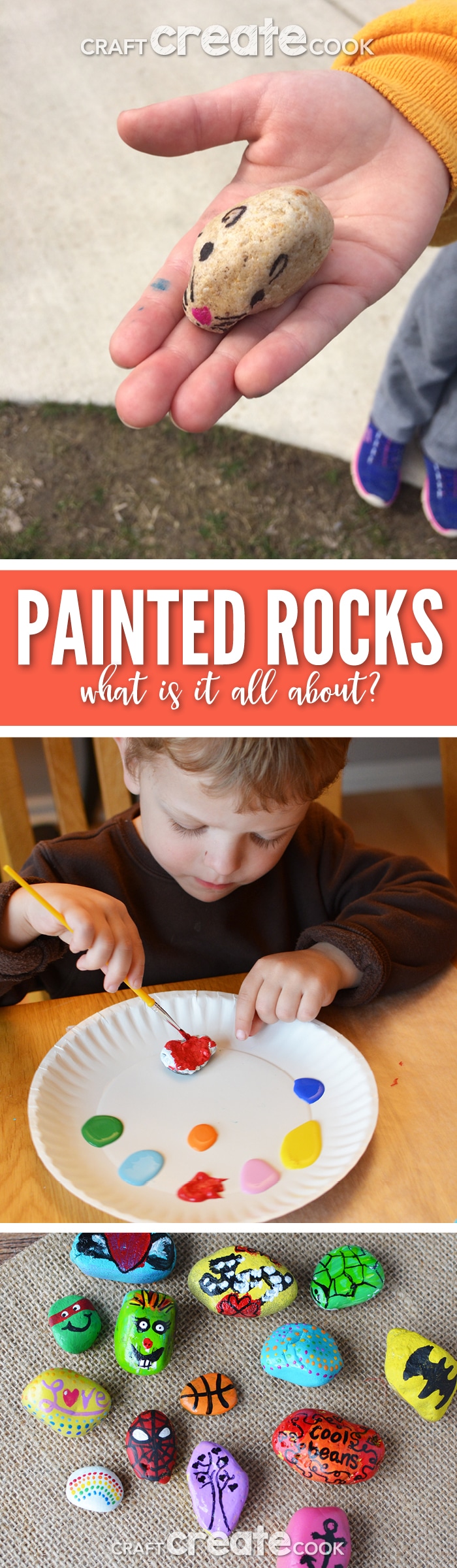 Why are Painted Rocks Hidden Everywhere? - Craft Create Cook