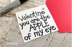 Easy Apple of My Eye Valentine - Craft Create Cook